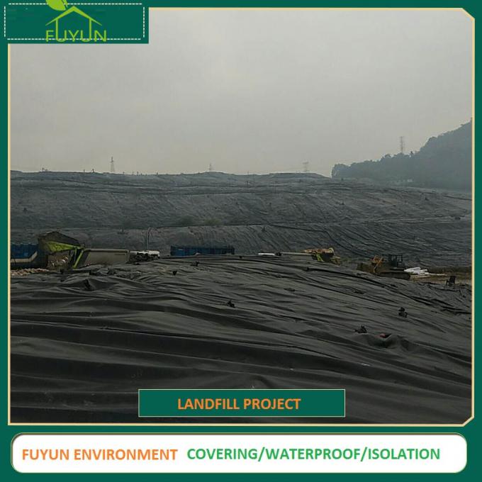 le revêtement de Geomembrane d'épaisseur de 2.0mm avec des points de ...