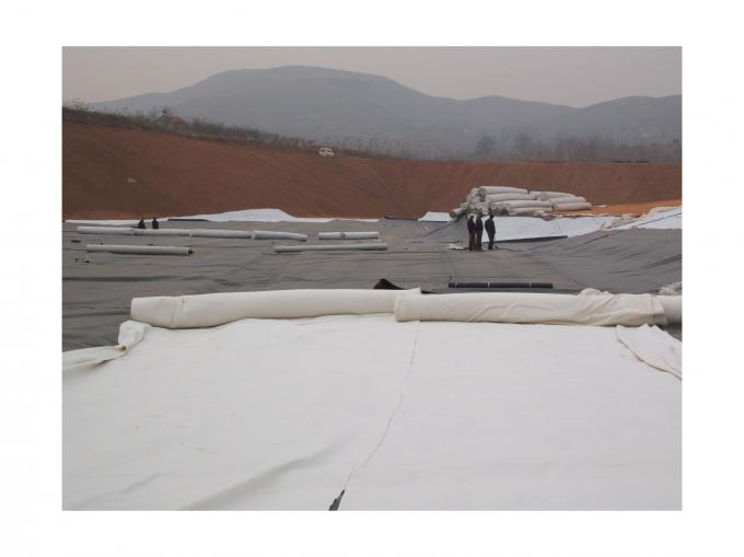 Geosynthetic Mat For Landfill Lining Covering composé de ciment